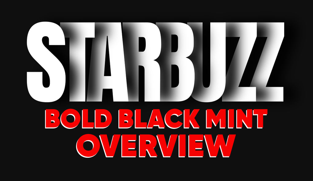 Starbuzz Bold Black Mint Hookah Tobacco Overview – ShopStarbuzz